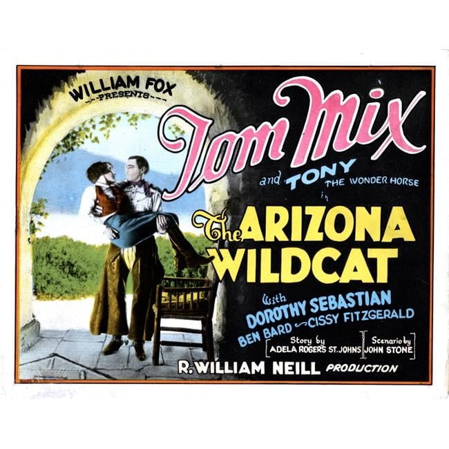 Everett Collection The Arizona Wildcat From Left Dorothy Sebastian Tom ...