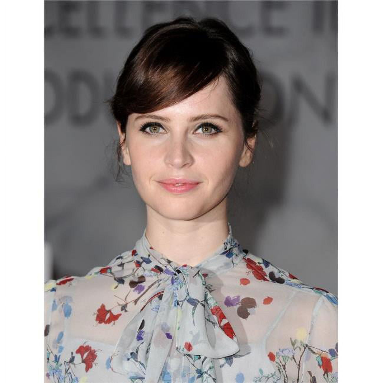 Everett Collection EVC1531J03DX047H Felicity Jones At Arrivals For 19th ...