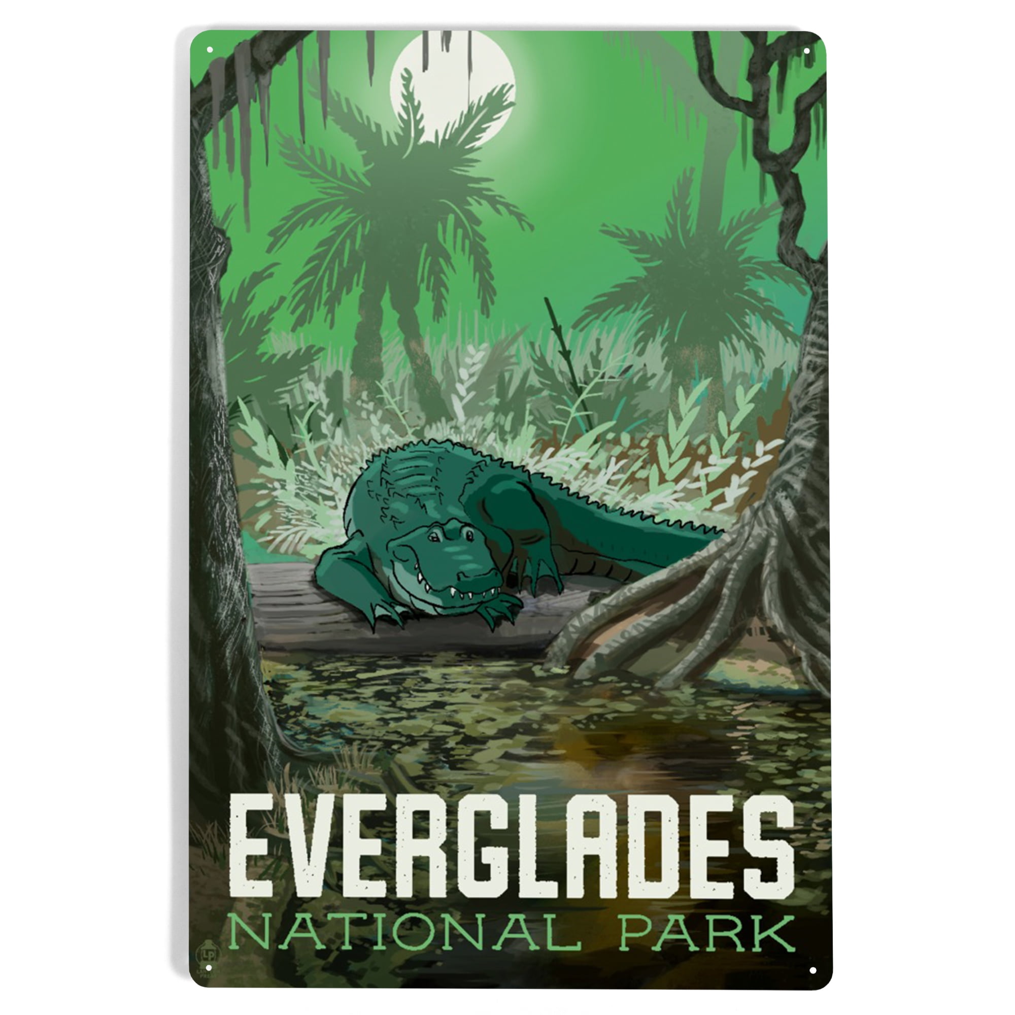 Everglades National Park, Florida, Alligator in Swamp (12x18 Aluminum ...