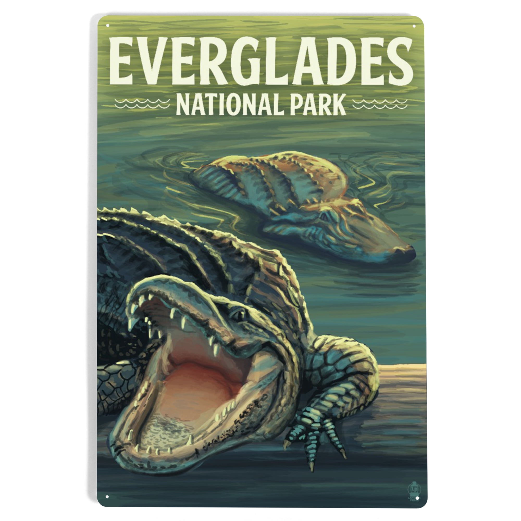 Everglades National Park, Florida, Alligators (12x18 Aluminum Art ...
