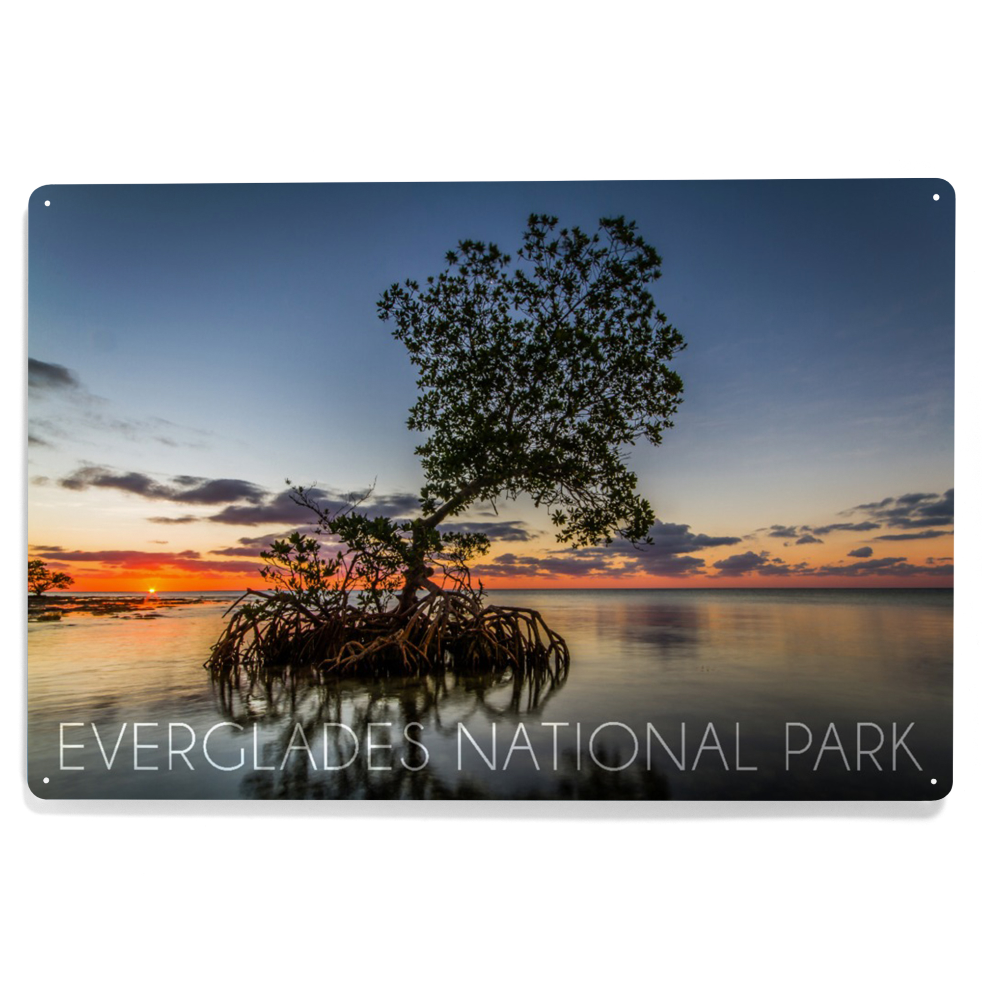 Everglades National Park, Florida, Mangrove and Sunset, Photography ...