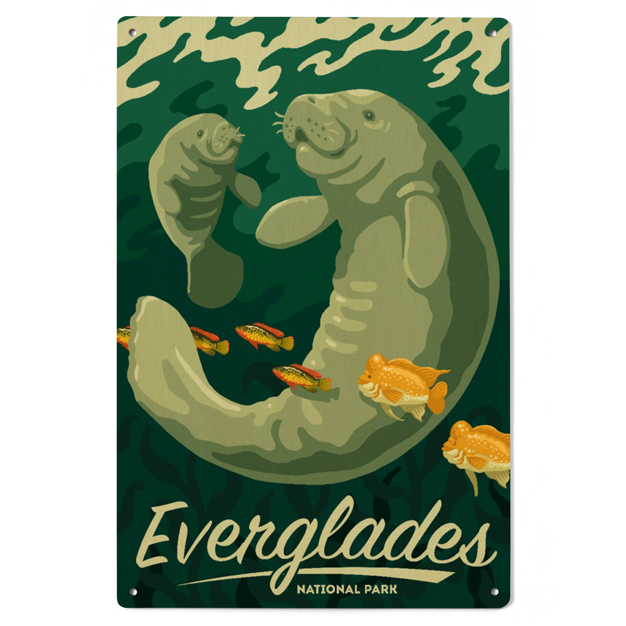 Everglades National Park, Manatee and Calf Swimming Birch Wood Wall ...
