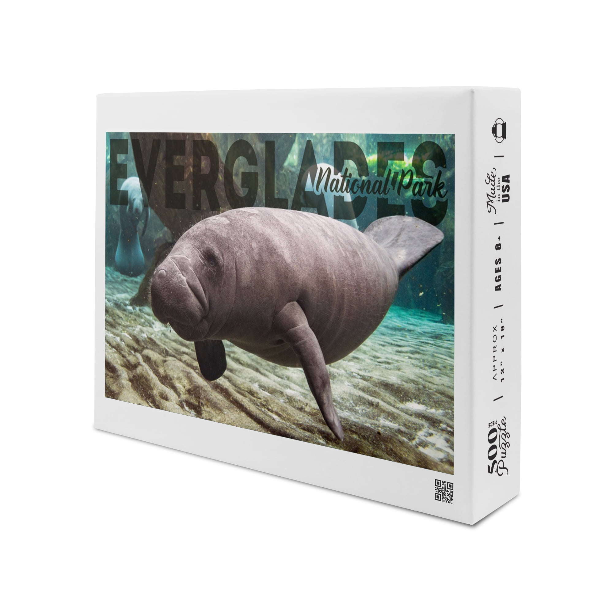 Everglades National Park, Manatees Underwater, Photography (19x27 ...