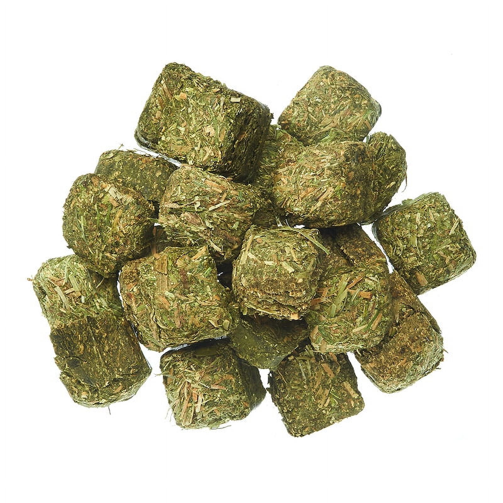 Evergreen Farm and Garden Southern Seed & Feed Alfalfa Cubes - 50 lb ...