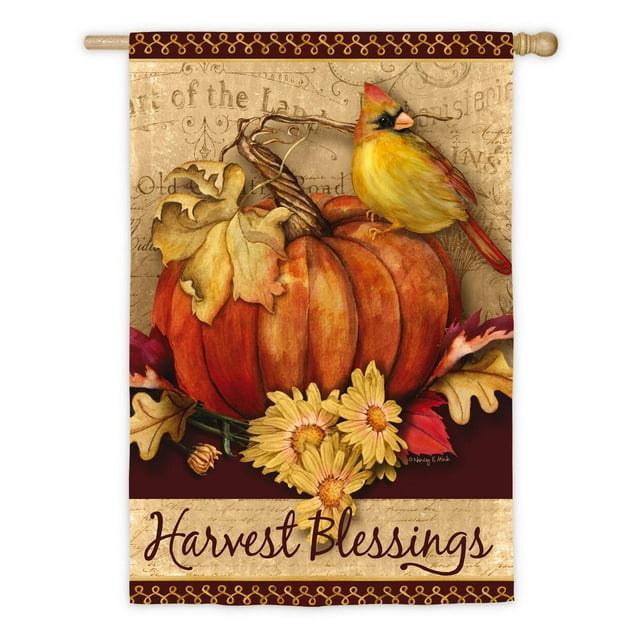 Evergreen Flag Fall Pumpkin Harvest House Flag - Walmart.com