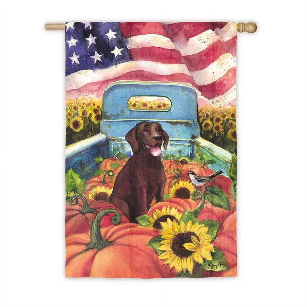 Evergreen Satin House Flag - All American Dog - Walmart.com