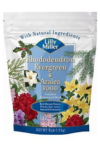 Evergreen and Azalea Food 10-5-4 4lb - Walmart.com