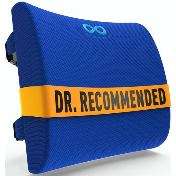 Lumbar Support Pillow for Office Chair and Car, Memory Foam Back ...