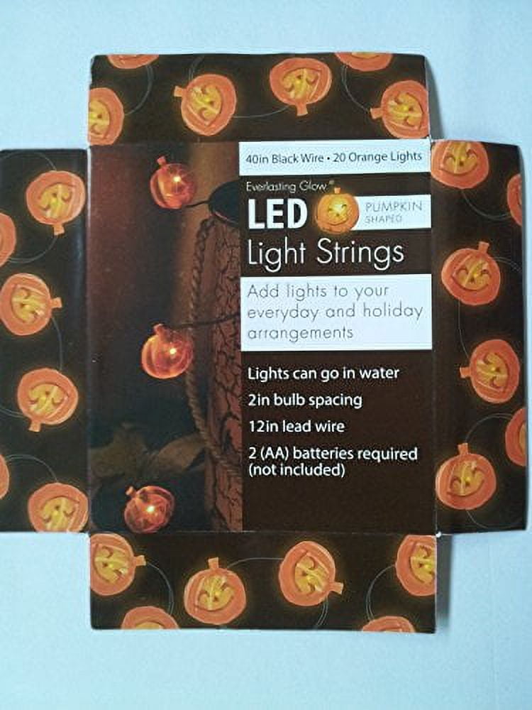 Everlasting Glow 40" Orange Acrylic Pumpkin Mic Christmas, 8InL x 10InW ...