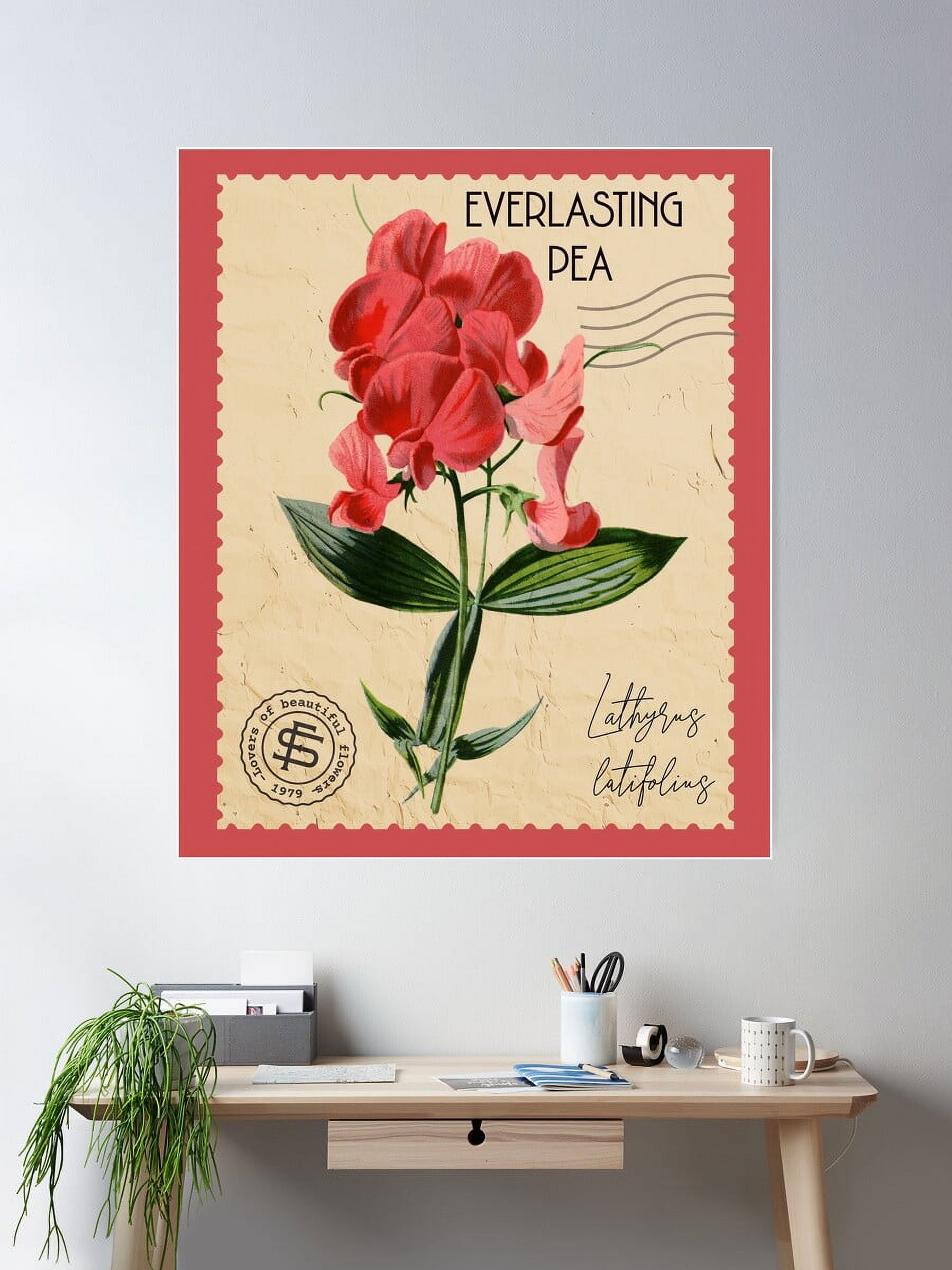 Everlasting Pea Stamp Poster Wall Art, Modern Wall Decor For Living ...