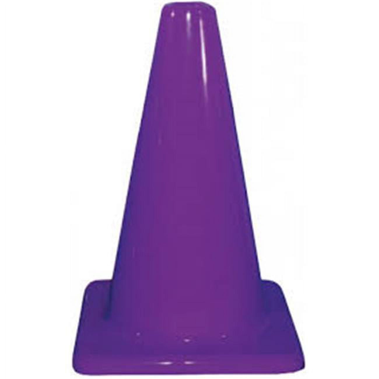 Everrich EVB-0095 9 in. Height Plastic Cone, Purple - Walmart.com