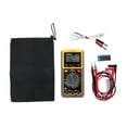 EverStart Professional CAT 3 300 Volt Digital Multimeter - Walmart.com