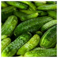 Burpee Trellis & Fence Garden Starter Garden Flower Seed Collection, 1 ...