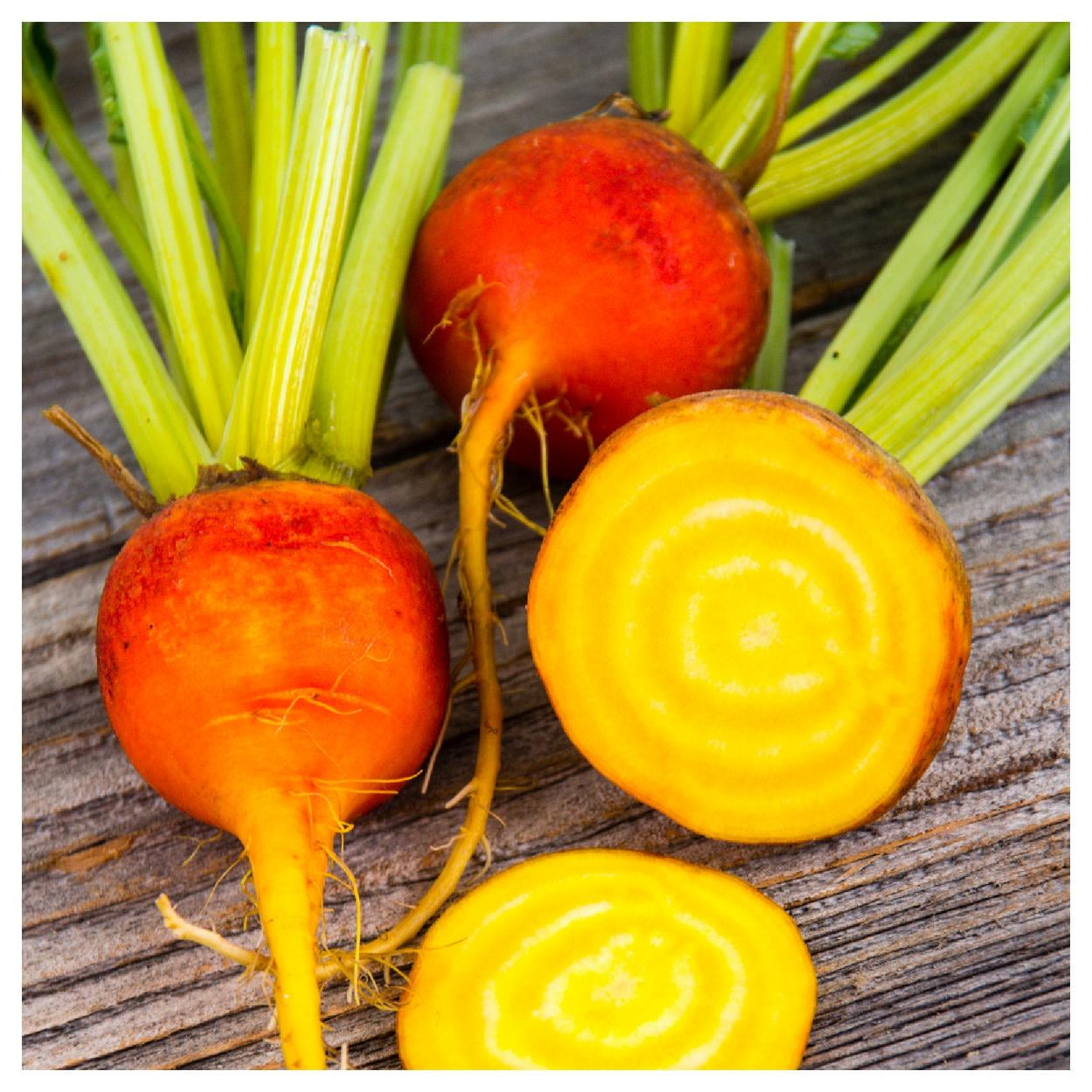 Everwilde Farms - 1/4 lb Burpee’s Golden Beet Seeds - Gold Vault Bulk ...