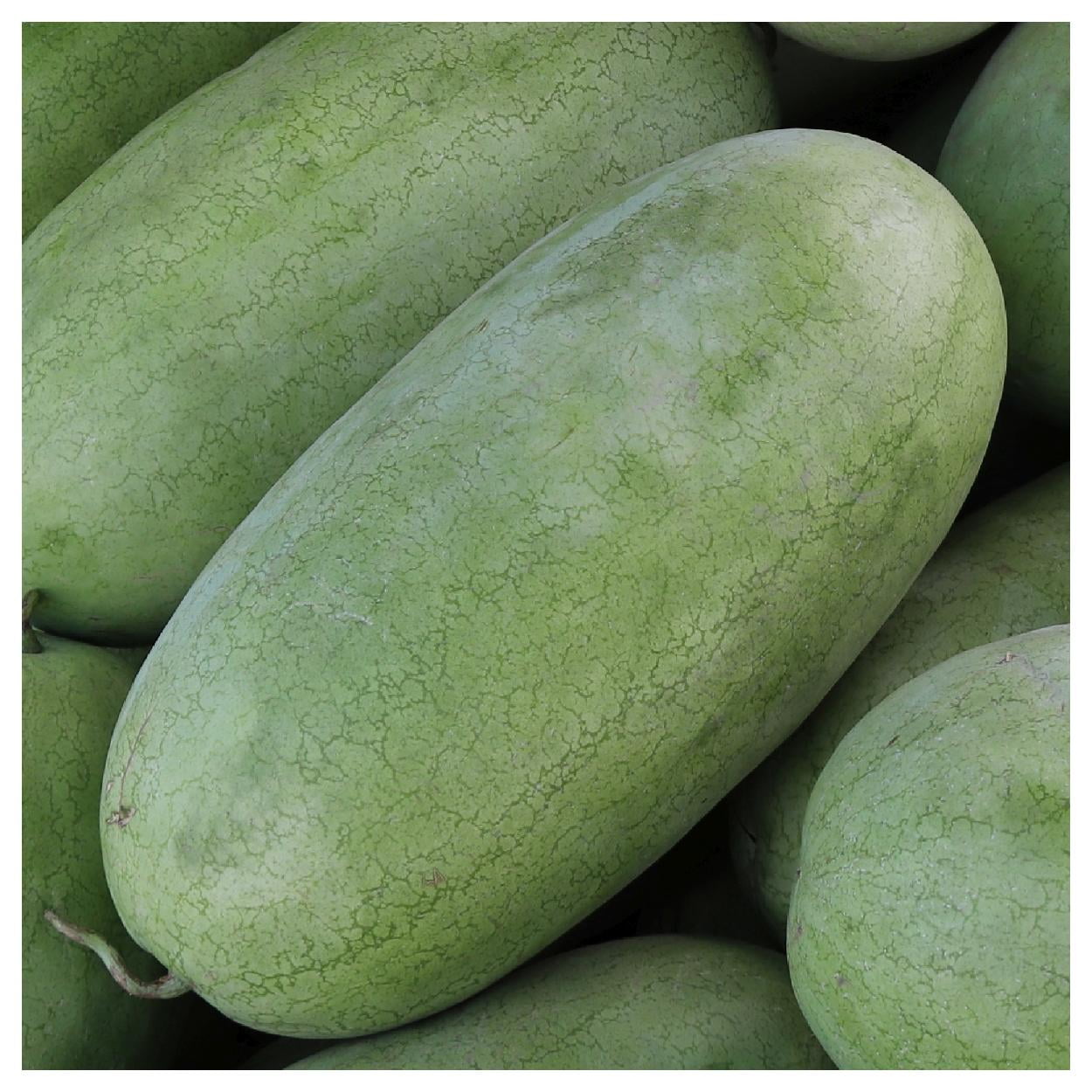 Everwilde Farms - 1/4 lb Charleston Gray Watermelon Seeds - Gold Vault ...