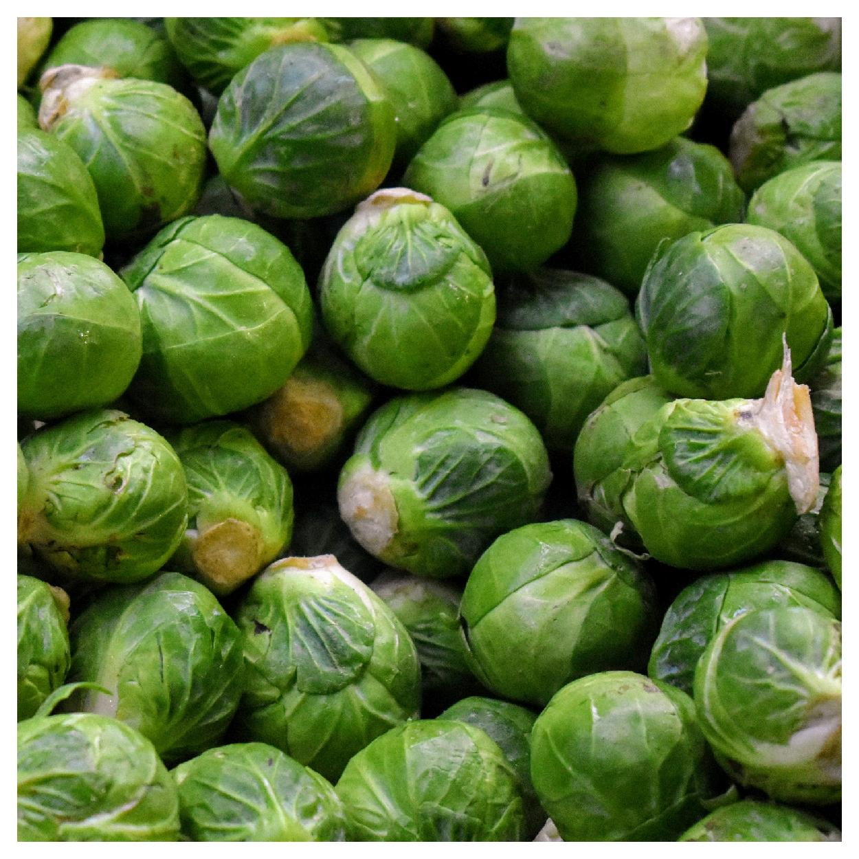 Everwilde Farms - 1/4 lb Long Island Improved Brussels Sprouts Seeds ...