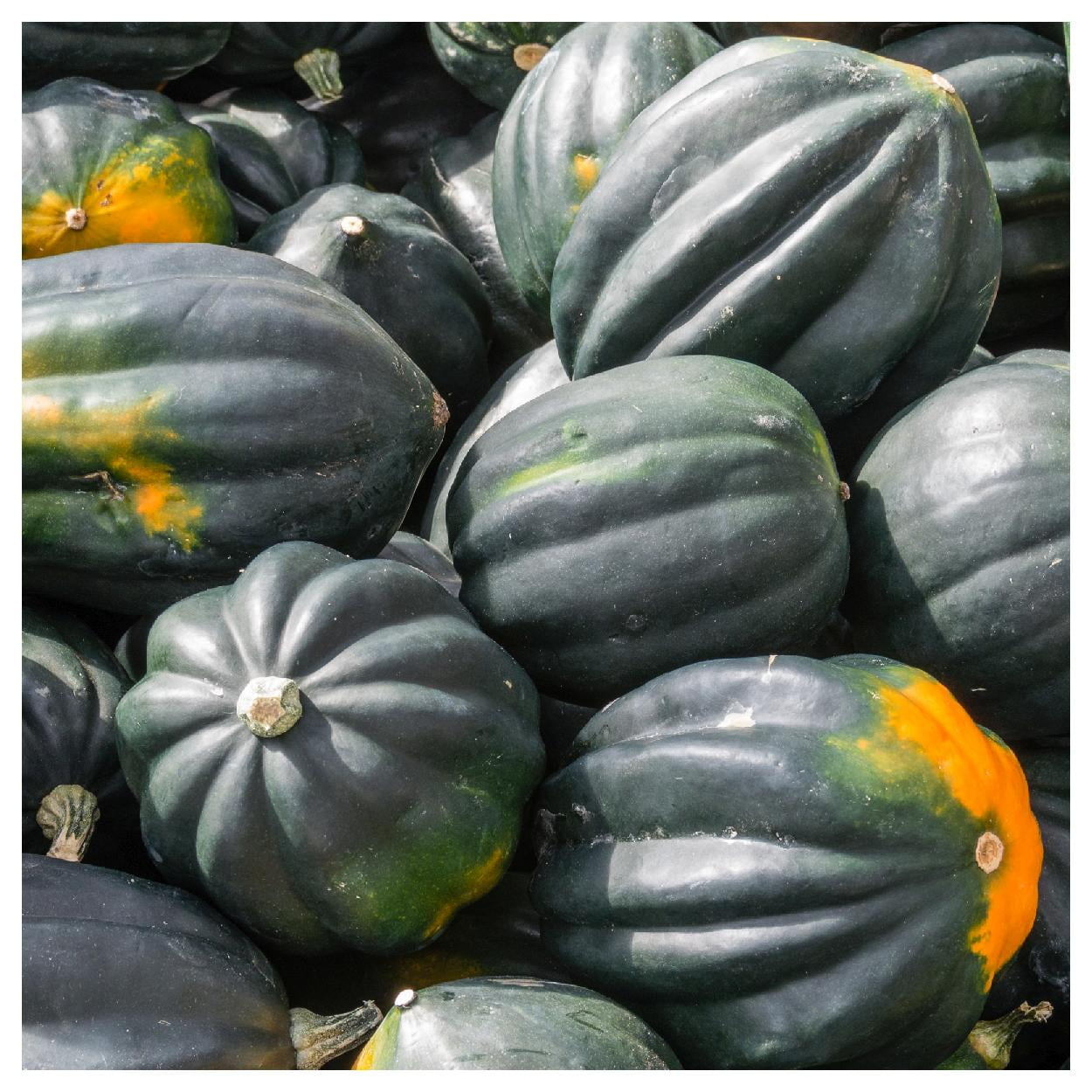 Everwilde Farms - 1/4 lb Organic Table King Acorn Winter Squash Seeds ...