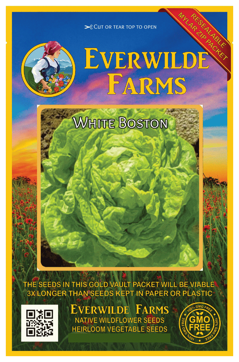 Everwilde Farms 1 Oz White Boston Butterhead Lettuce Seeds Gold Everwilde Farms 1 Oz White Boston Butterhead Lettuce Seeds Gold