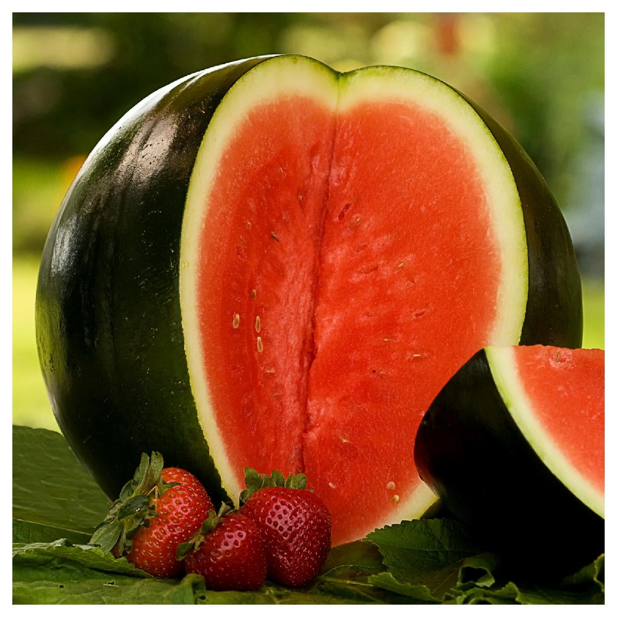 Everwilde Farms - 1 lb Black Diamond Watermelon Seeds - Gold Vault Bulk ...