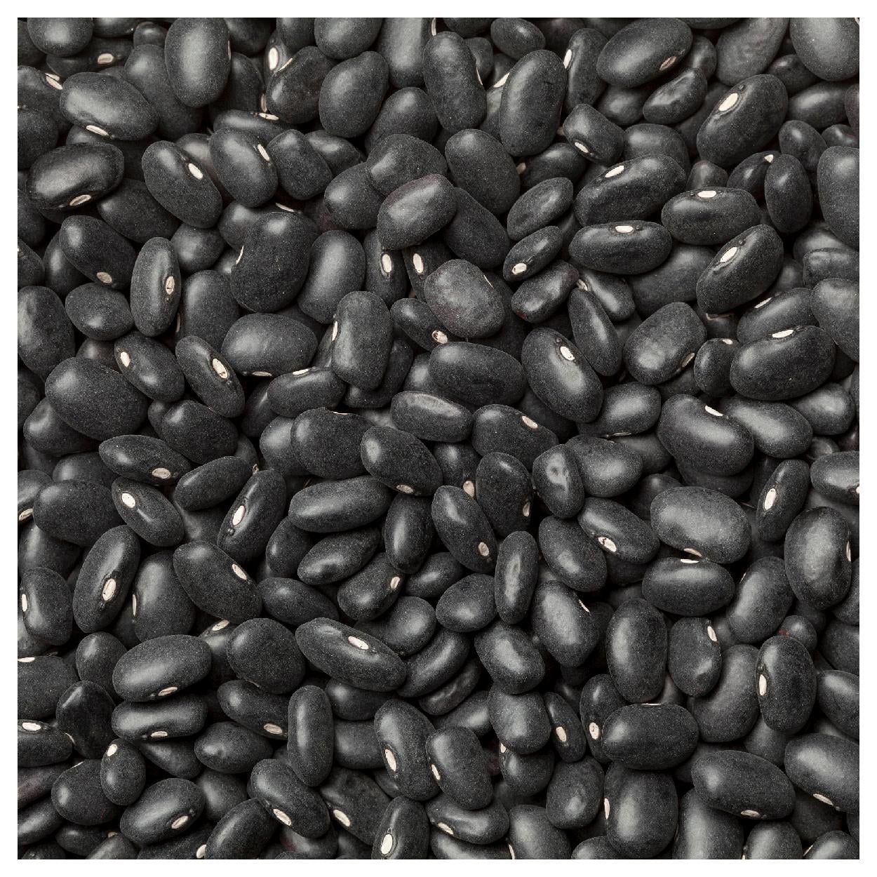 Everwilde Farms - 1 lb Black Turtle Dry Bean Seeds - Gold Vault Bulk ...