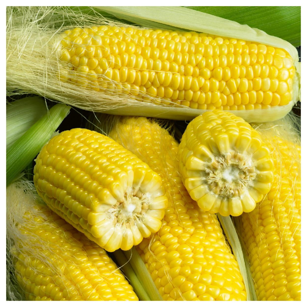 Corn Seeds Packet