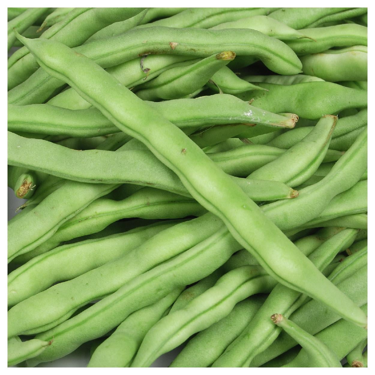 Everwilde Farms - 1 lb Missouri Wonder Pole Bean Seeds - Gold Vault ...
