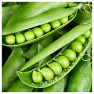 100 LADY COWPEA Cow Pea Southern Pea Vigna Unguiculata Legume White ...