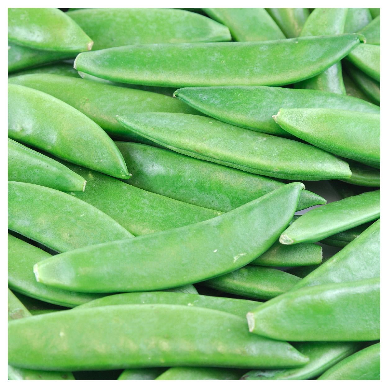 Everwilde Farms - 1 lb Oregon Giant Sugar Pod Pea Seeds - Gold Vault ...