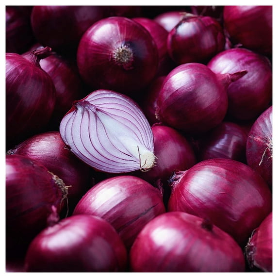 Everwilde Farms - 1 lb Ruby Red Onion Seeds - Gold Vault Bulk Seed ...