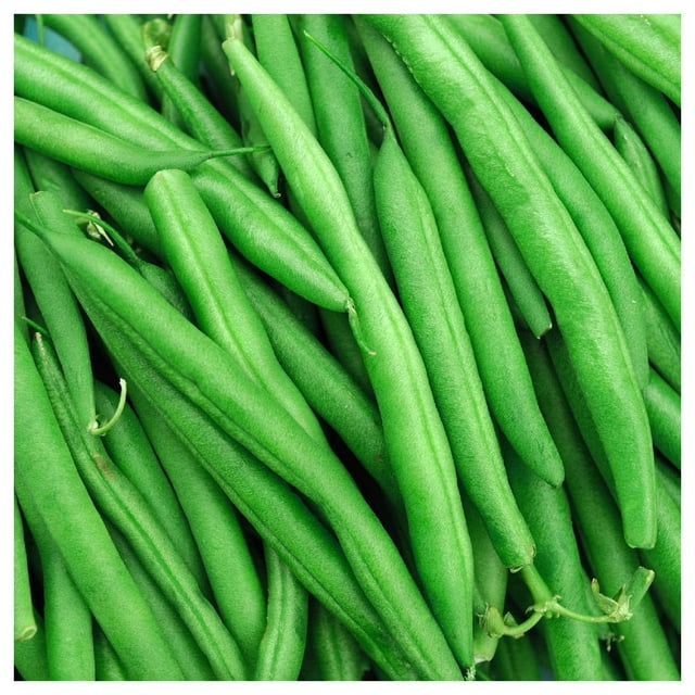 Everwilde Farms - 1 lb Slenderette Green Bush Bean Seeds - Gold Vault ...