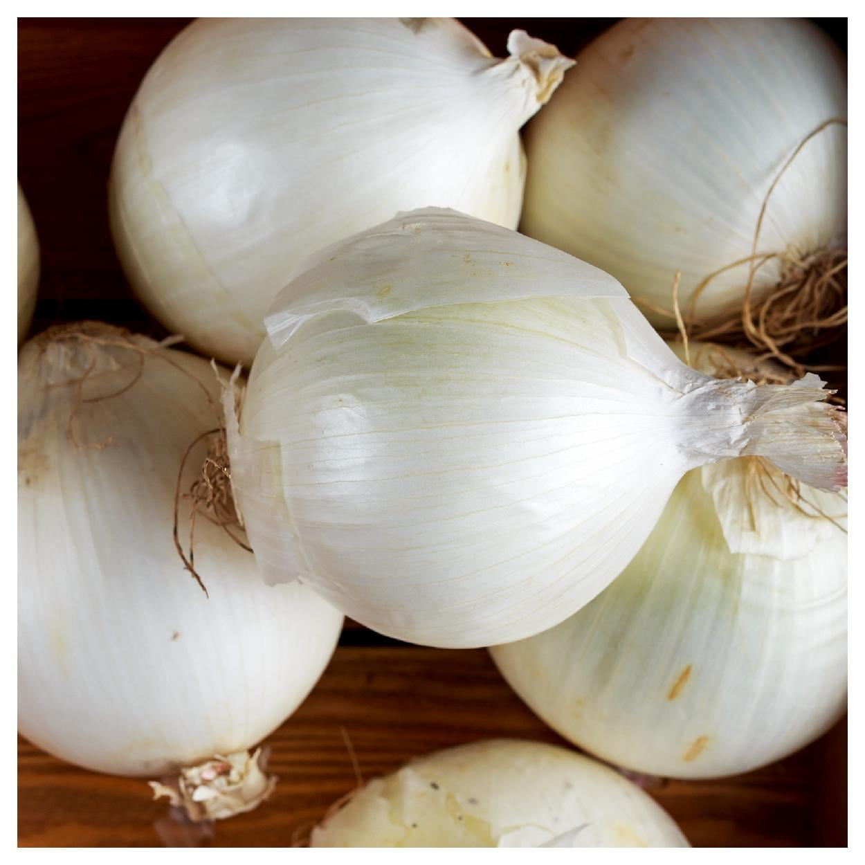 White Onion Plant
