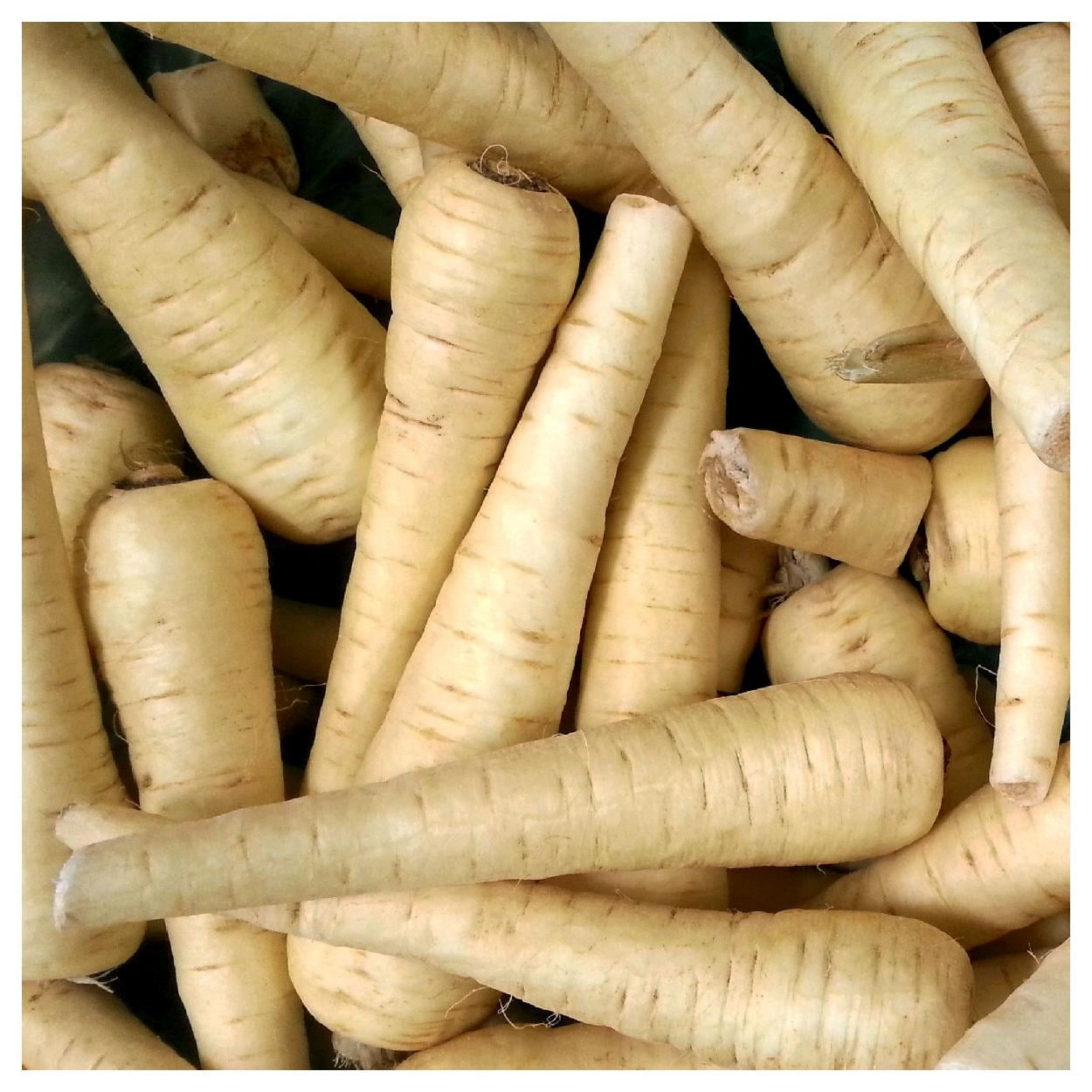 Everwilde Farms - 1 oz All American Parsnip Seeds - Gold Vault Bulk ...