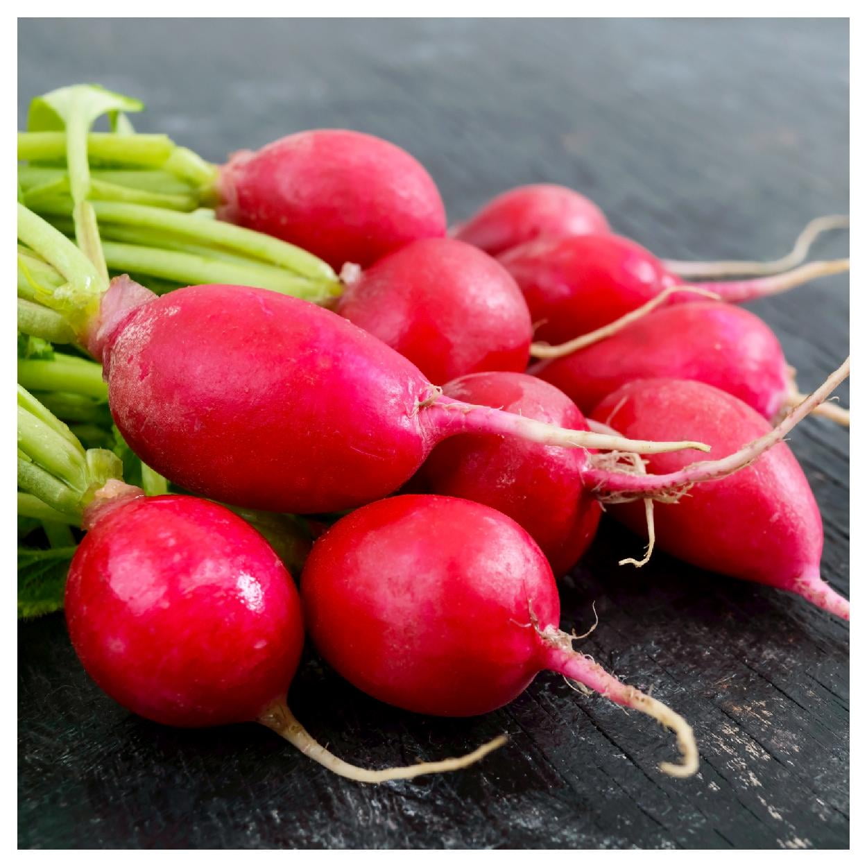 Everwilde Farms - 1 oz Comet Radish Seeds - Gold Vault Bulk Seed Packet ...