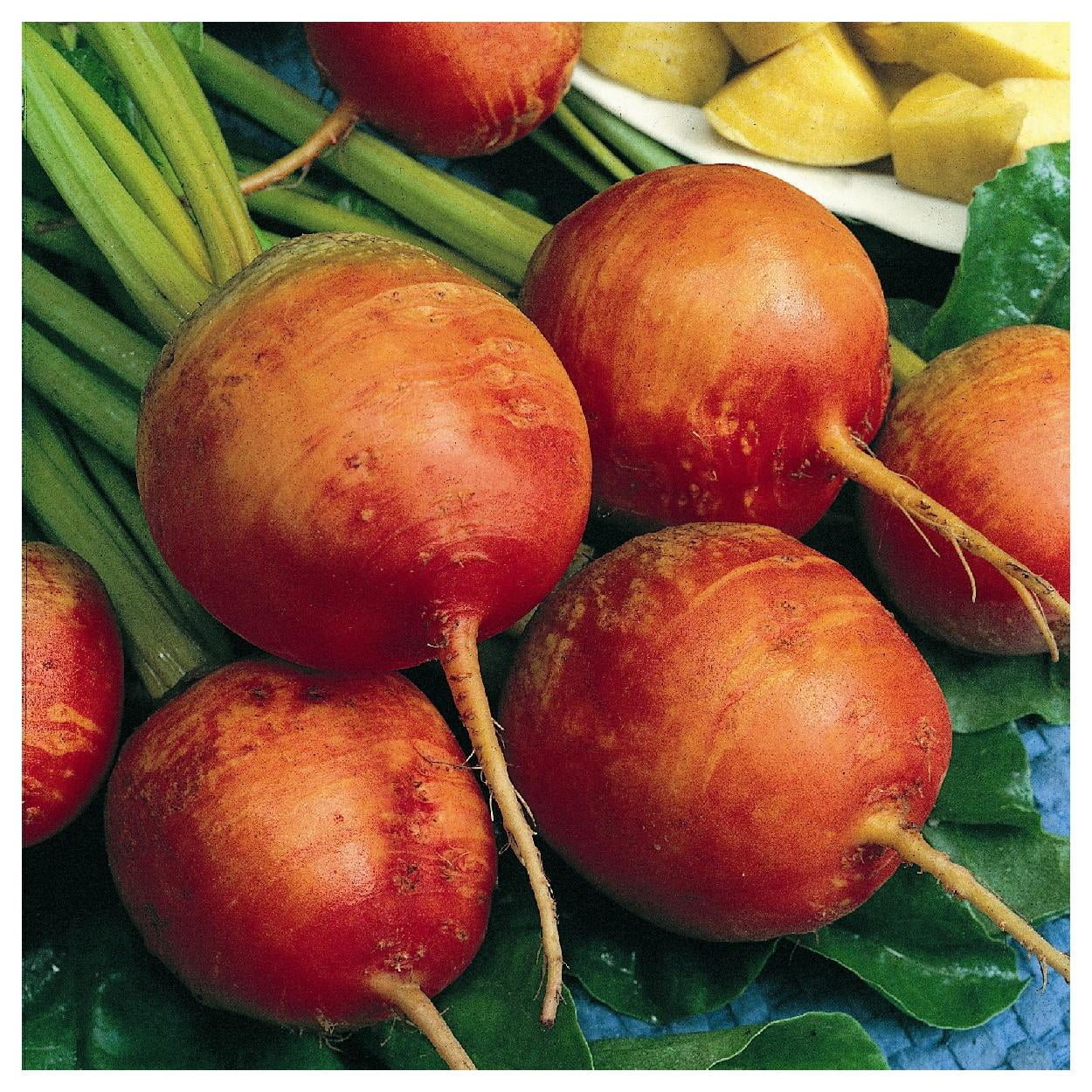 Everwilde Farms - 1 oz Golden Detroit Beet Seeds - Gold Vault Bulk Seed ...