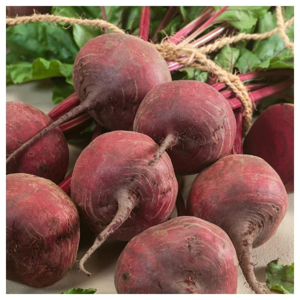 Everwilde Farms - 1 oz Organic Green Top Bunching Beet Seeds - Gold ...