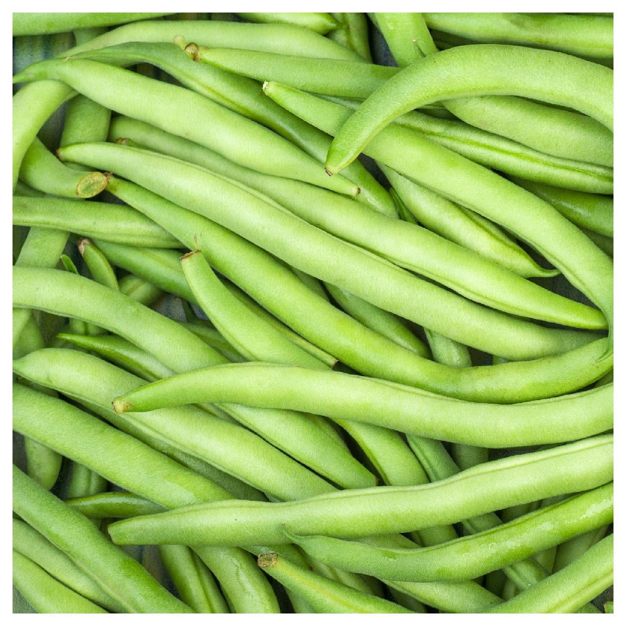 Everwilde Farms - 1 oz Organic Kentucky Wonder Pole Bean Seeds - Gold ...