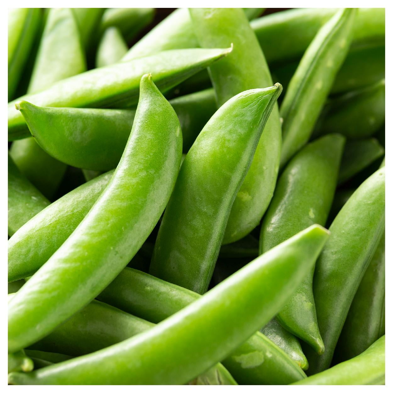 Everwilde Farms - 1 oz Organic Sugar Daddy Snap Pea Seeds - Gold Vault ...