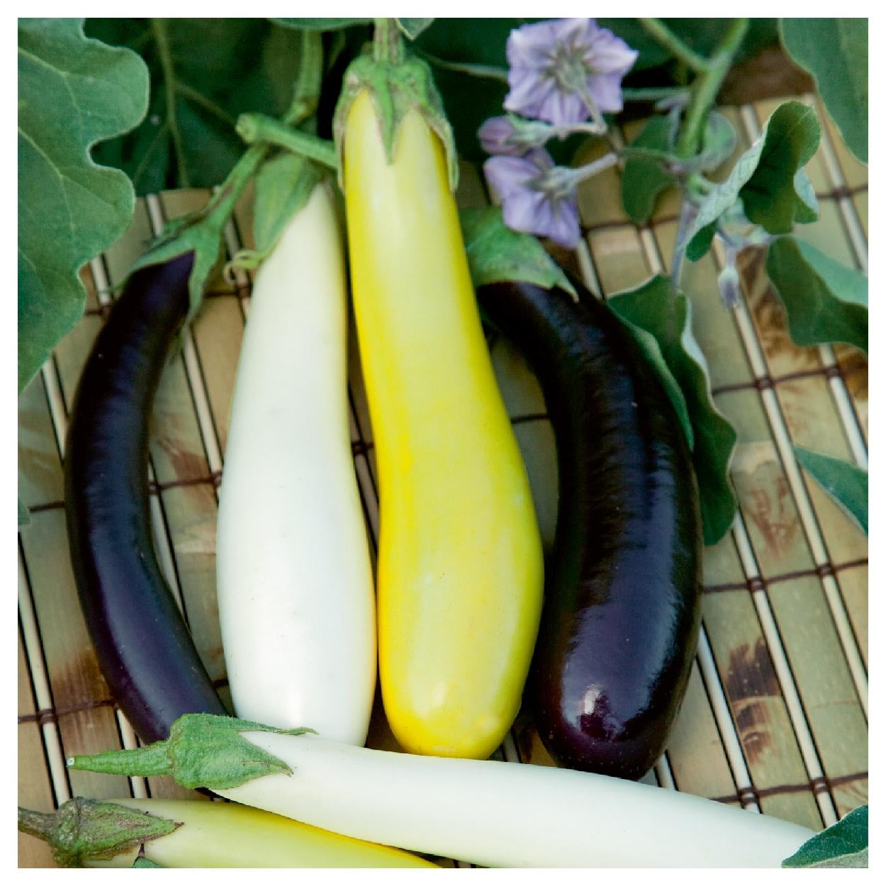 Everwilde Farms - 1 oz Oriental Fingerlings Eggplant Seeds - Gold Vault ...
