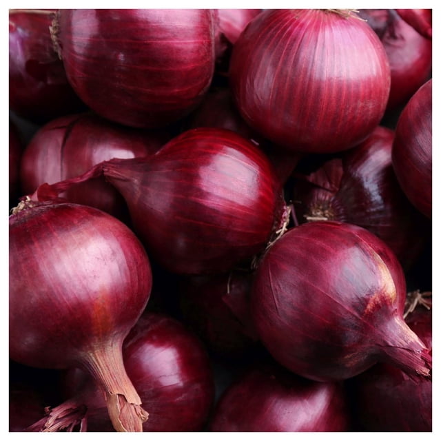 Everwilde Farms - 1 oz Red Grano Onion Seeds - Gold Vault Bulk Seed ...