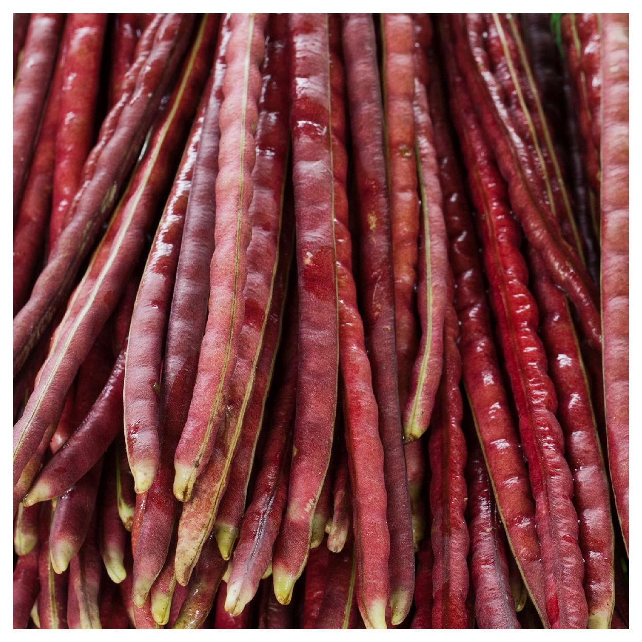 Everwilde Farms - 1 oz Red Yard Long Bean Seeds - Gold Vault Bulk Seed ...