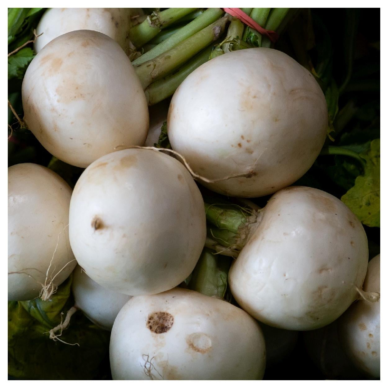 Everwilde Farms - 1 oz White Egg Turnip Seeds - Gold Vault Bulk Seed ...