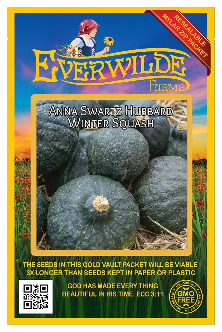 Everwilde Farms - 10 Hubbard Anna Swartz Winter Squash Seeds - Gold ...