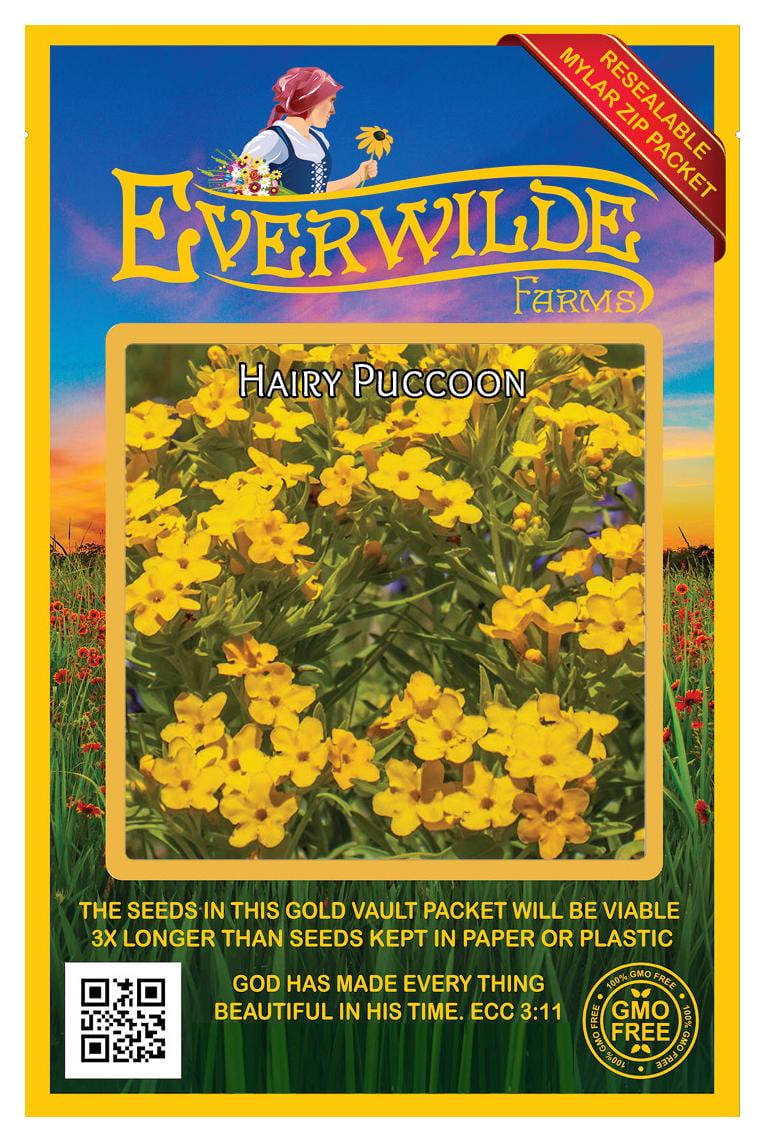 Everwilde Farms - 10 Hairy Puccoon Native Wildflower Seeds - Gold Vault ... Everwilde Farms - 10 Hairy Puccoon Native Wildflower Seeds - Gold Vault ...