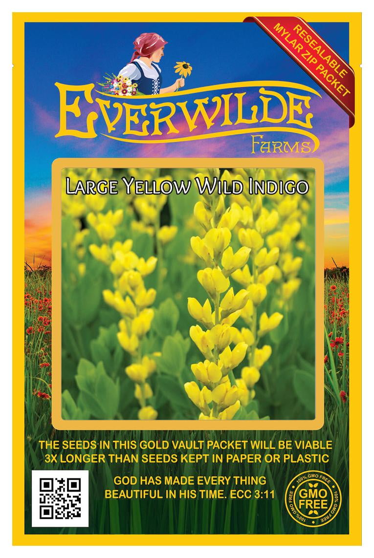 Everwilde Farms - 10 Large Yellow Wild Indigo Native Wildflower Seeds ...