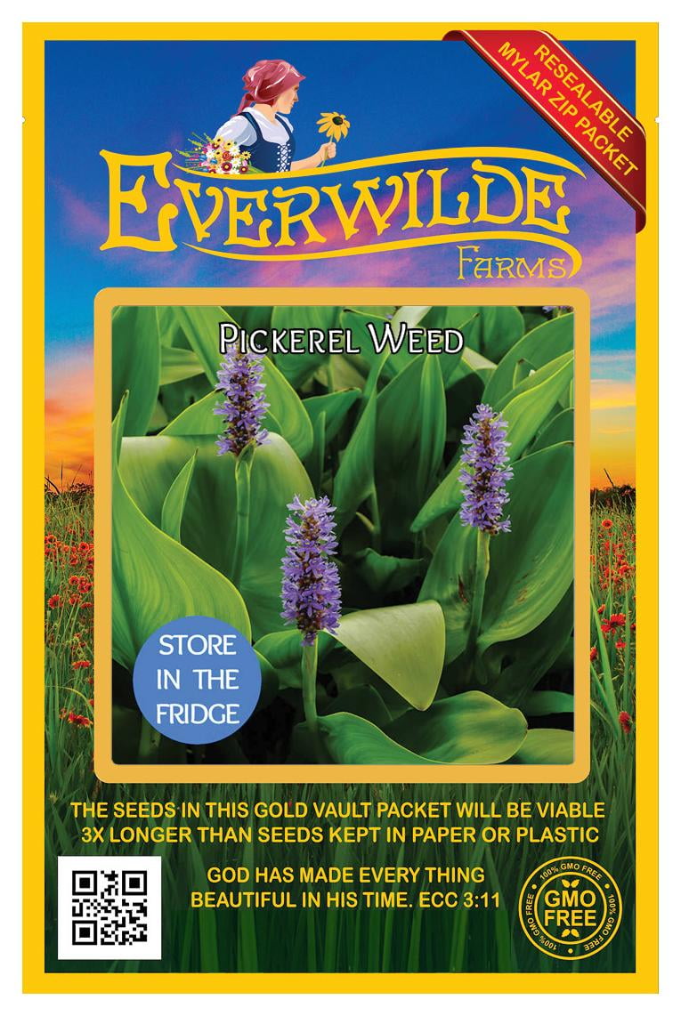 Everwilde Farms - 10 Pickerel Weed Native Wildflower Seeds - Gold Vault ...