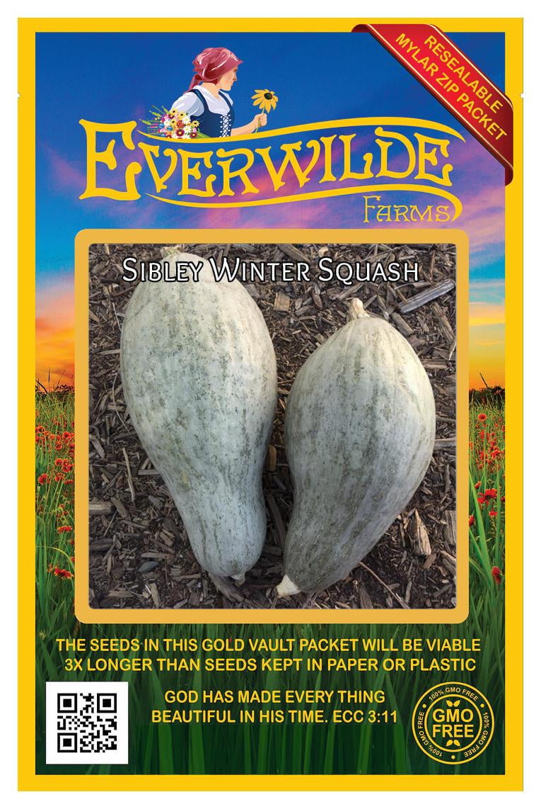 Everwilde Farms - 20 Sibley Winter Squash Seeds - Gold Vault Seed ...