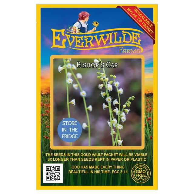 Everwilde Farms - 100 Bishop's Cap Native Wildflower Seeds - Gold Vault ...