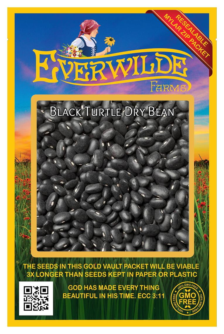 Everwilde Farms - 100 Black Turtle Dry Bean Seeds - Gold Vault Jumbo ...