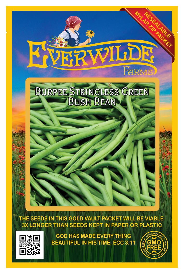 Everwilde Farms - 100 Burpee Stringless Green Bush Bean Seeds - Gold ...