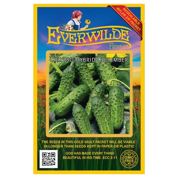 Cucumber Seeds in Seed Gardening - Walmart.com